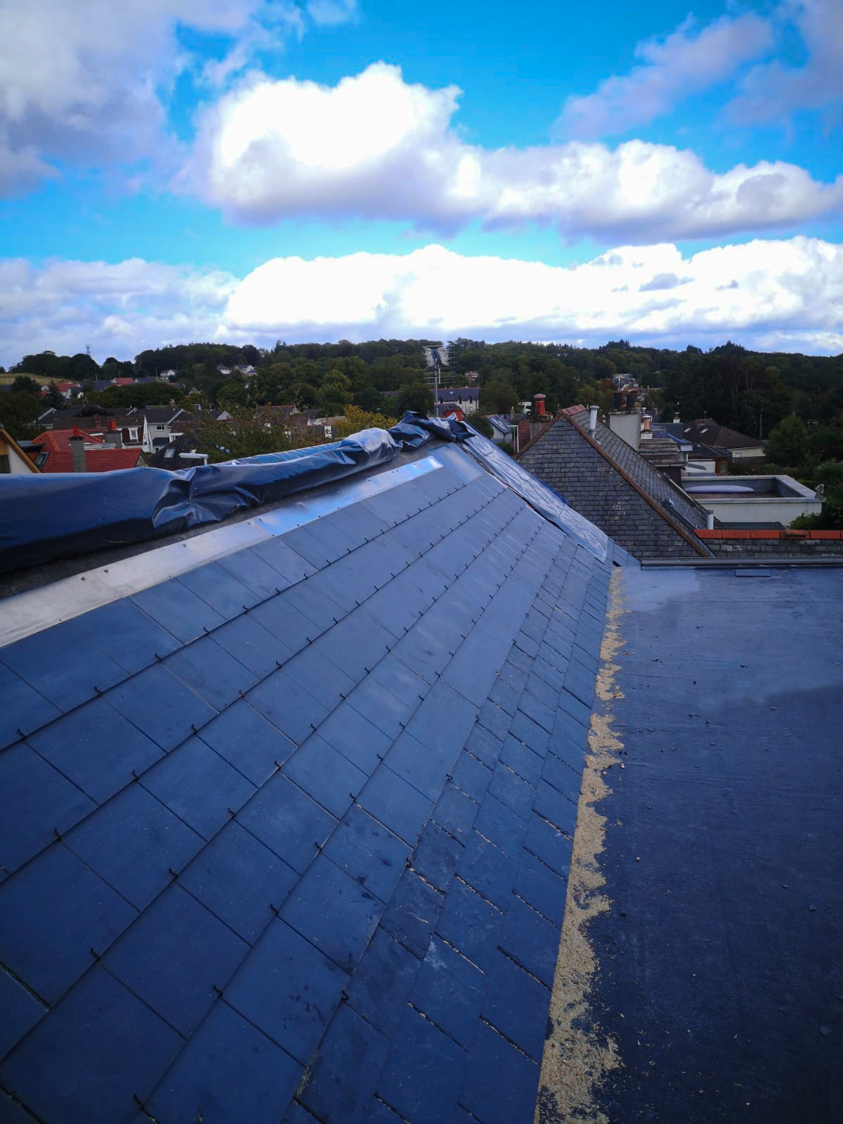 A Year Unlike Any Other | Year in Review 2020 | News | AES Solar